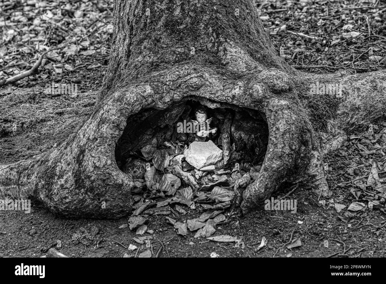 Little angel with a guitar inside a hole of a tree in the middle of the ...