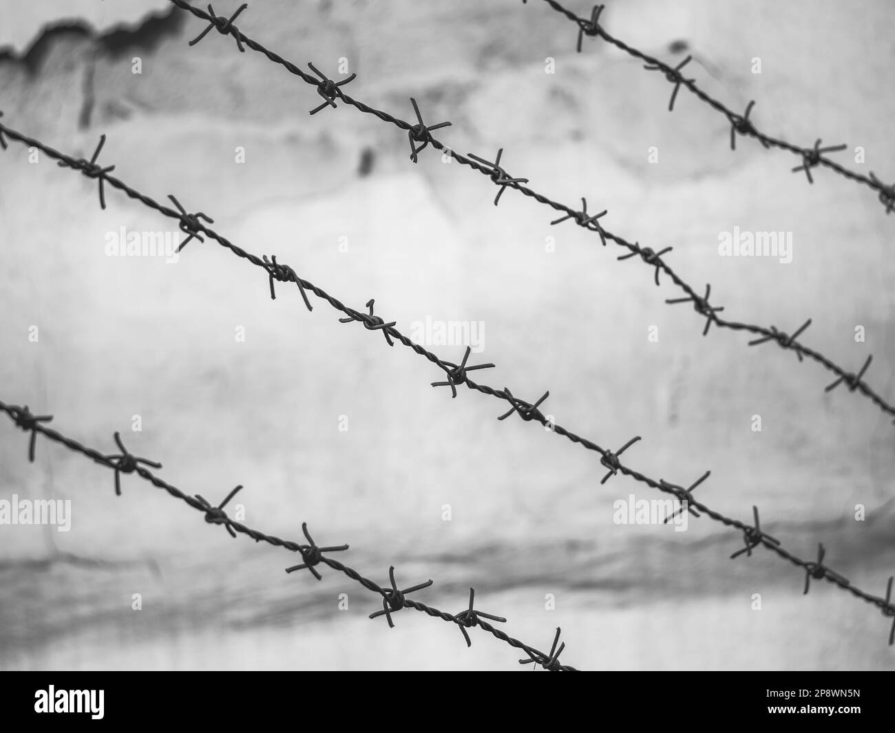 Abstract vintage picture with a barbed wire fence link Stock Photo - Alamy