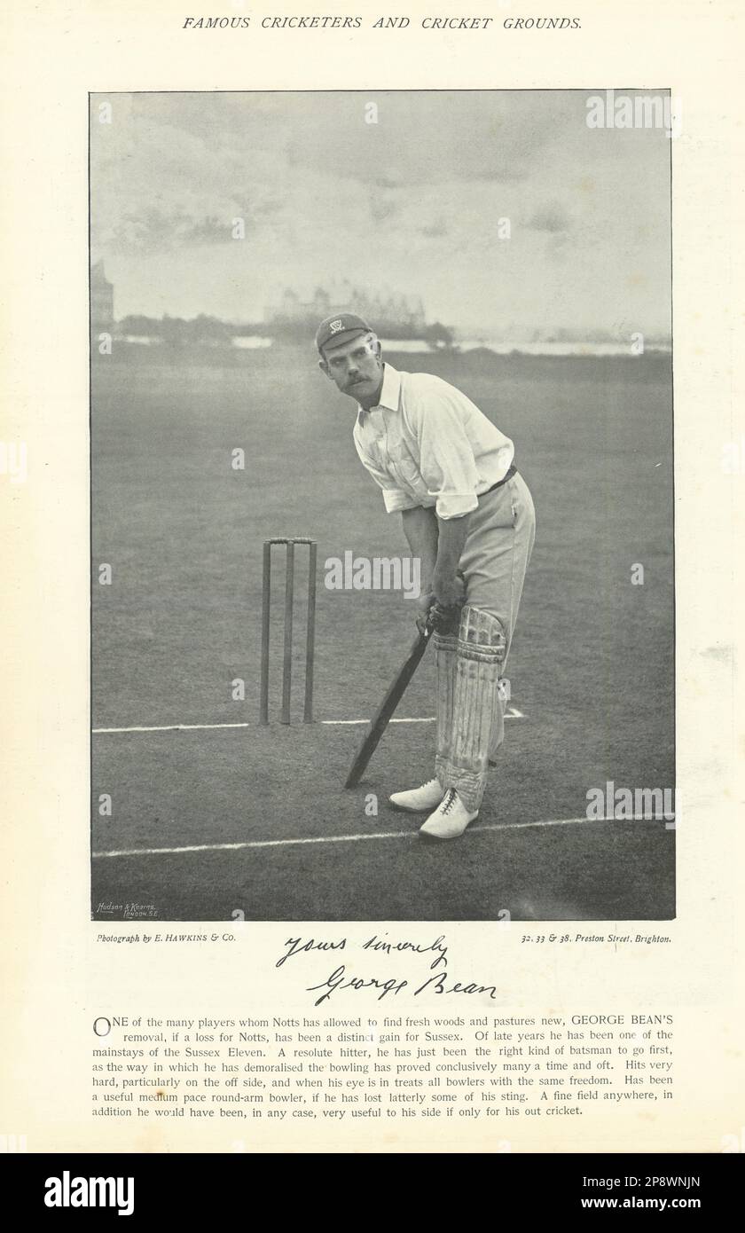 George Bean. Batsman. Sussex cricketer 1895 old antique vintage print ...