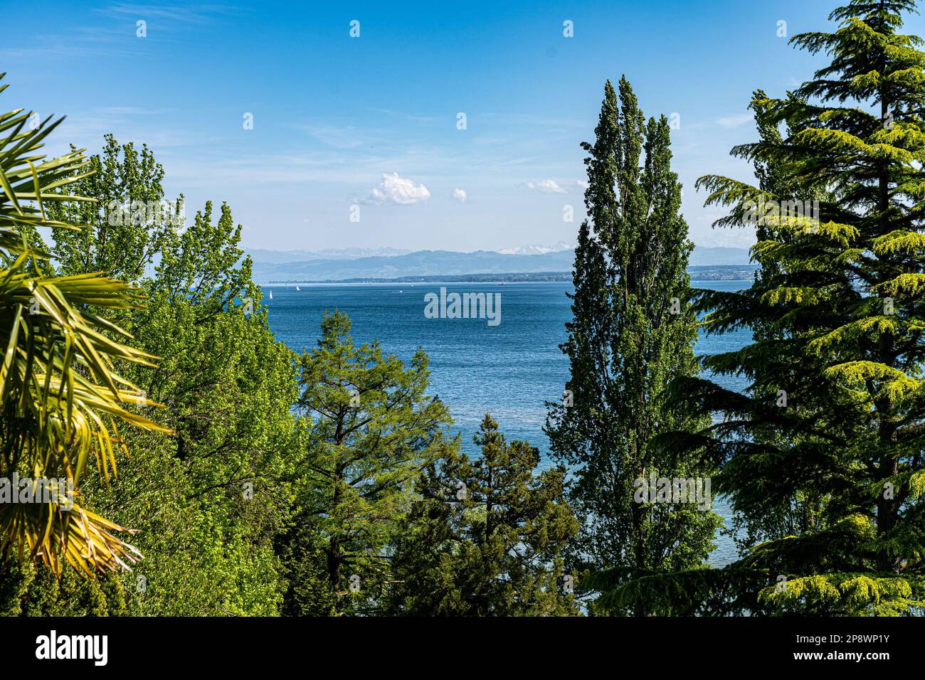 View of the biggest German lake called Lake Constance Stock Photo - Alamy