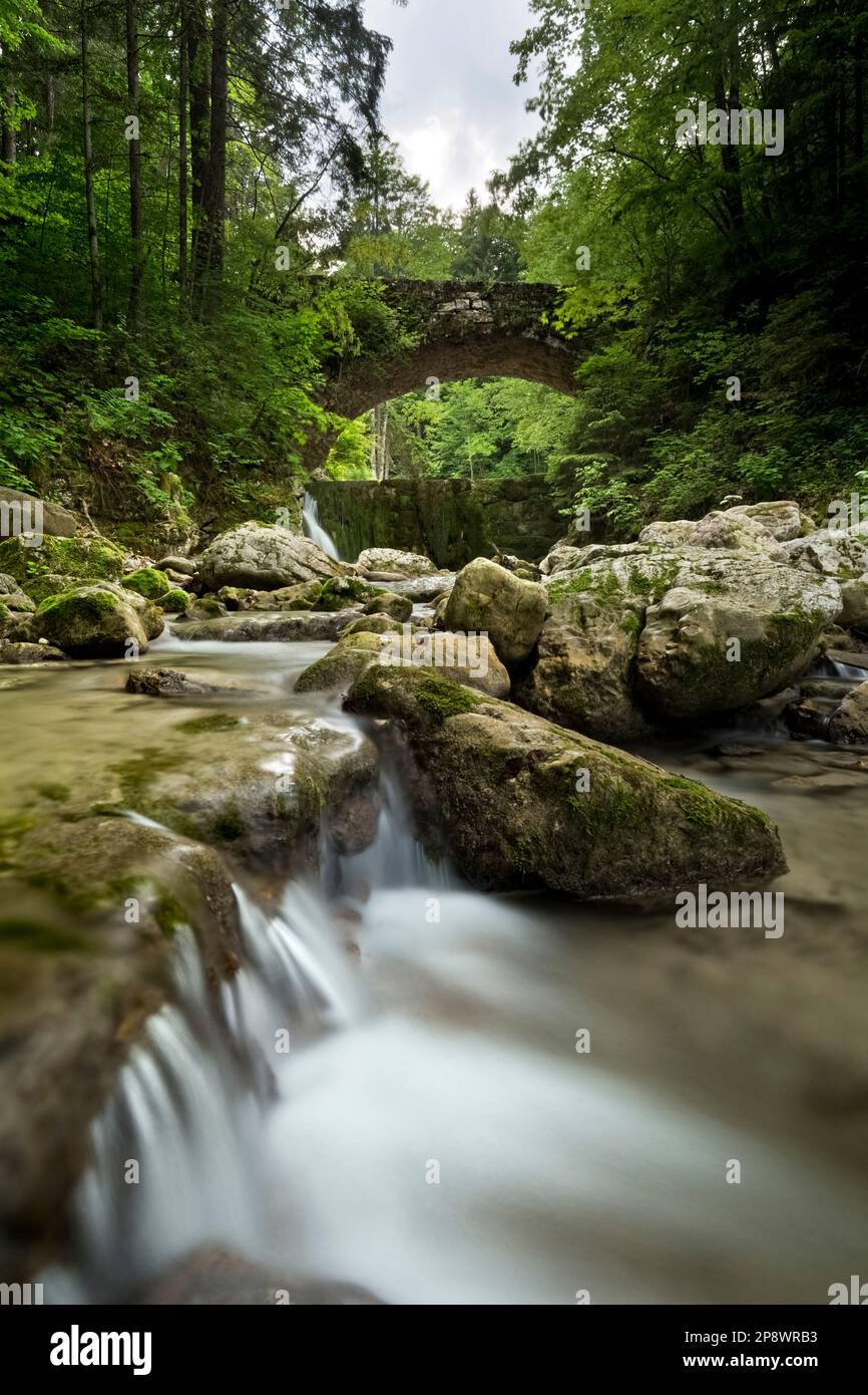 The Astico stream and the ancient stone bridge along the nature trail ...