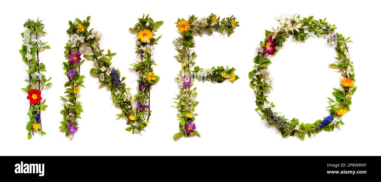 Colorful Blooming Flower Letters Building Word Info Stock Photo - Alamy