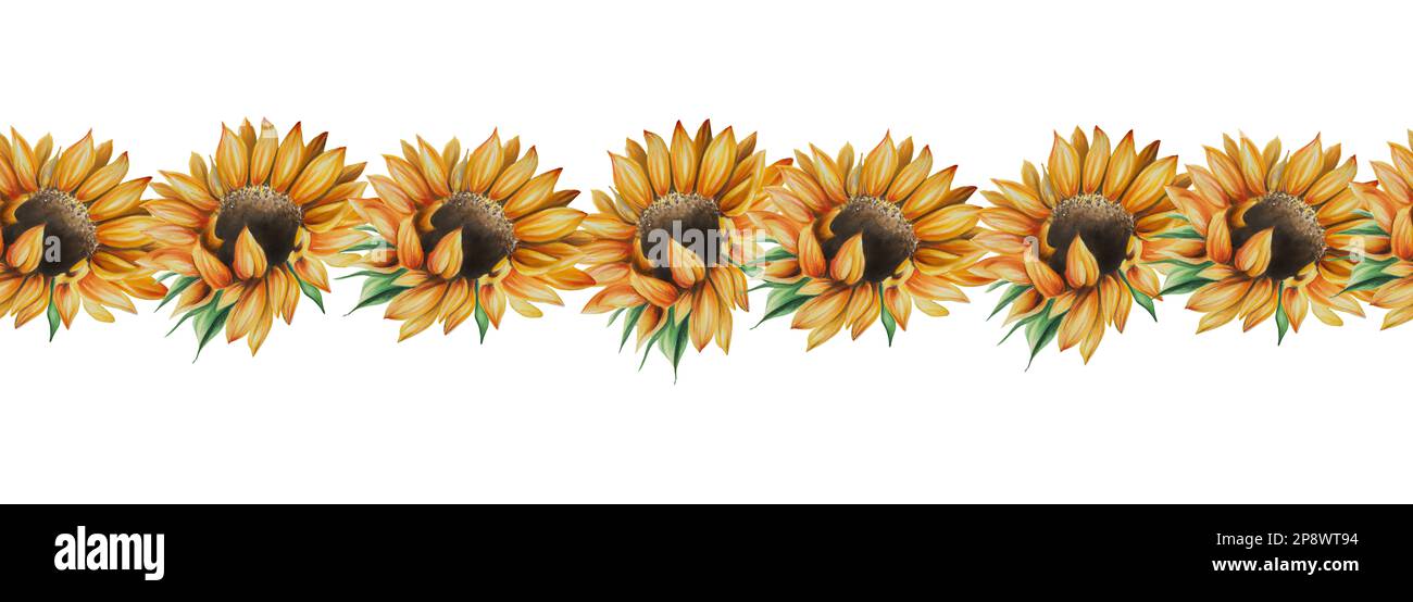 Printable Sunflower Border Clip Art