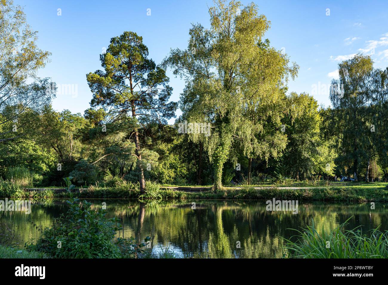Little lake with clear water and reflections in the water Stock Photo ...