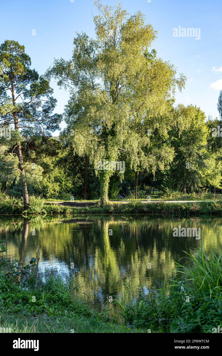 Little lake with clear water and reflections in the water Stock Photo ...