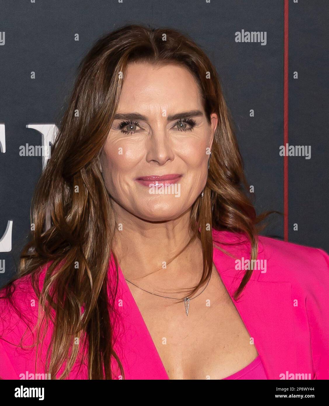 Beverly Hills, USA. 08th Mar, 2023. Brooke Shields attends the arrivals ...