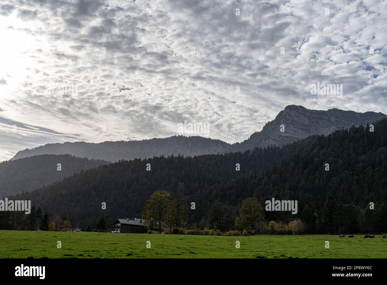 Massive mountain chain, forest and meadows of the German Alps Stock ...