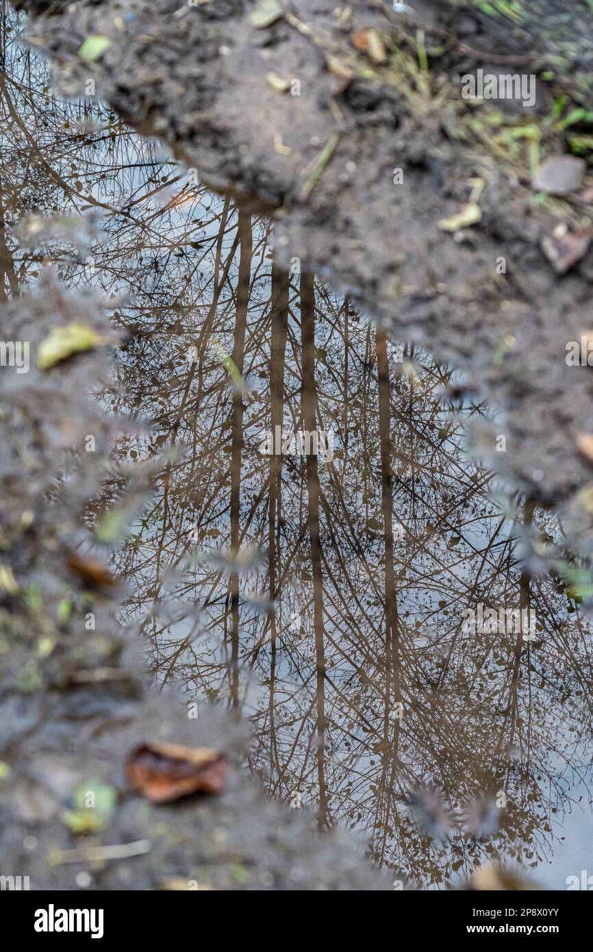 Environmental reflections hi-res stock photography and images - Alamy