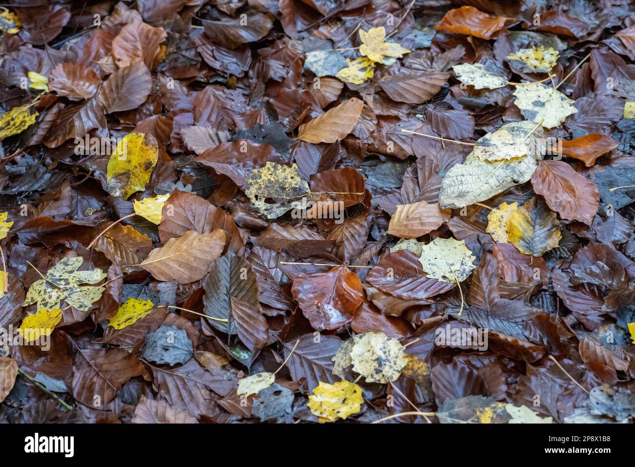 Kreis des lebens hi-res stock photography and images - Alamy