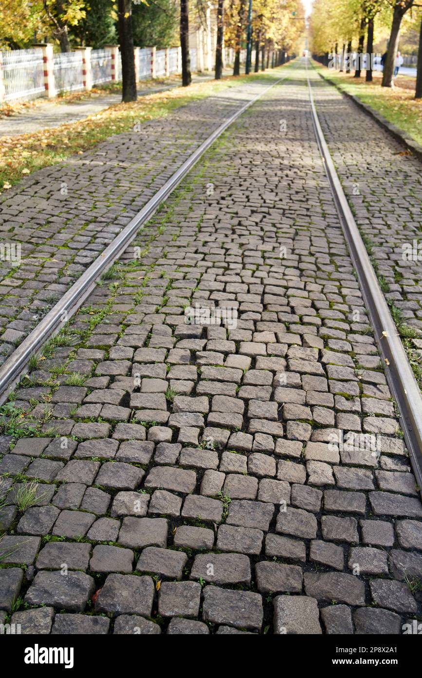 Tram rails with pavement between them Stock Photo - Alamy