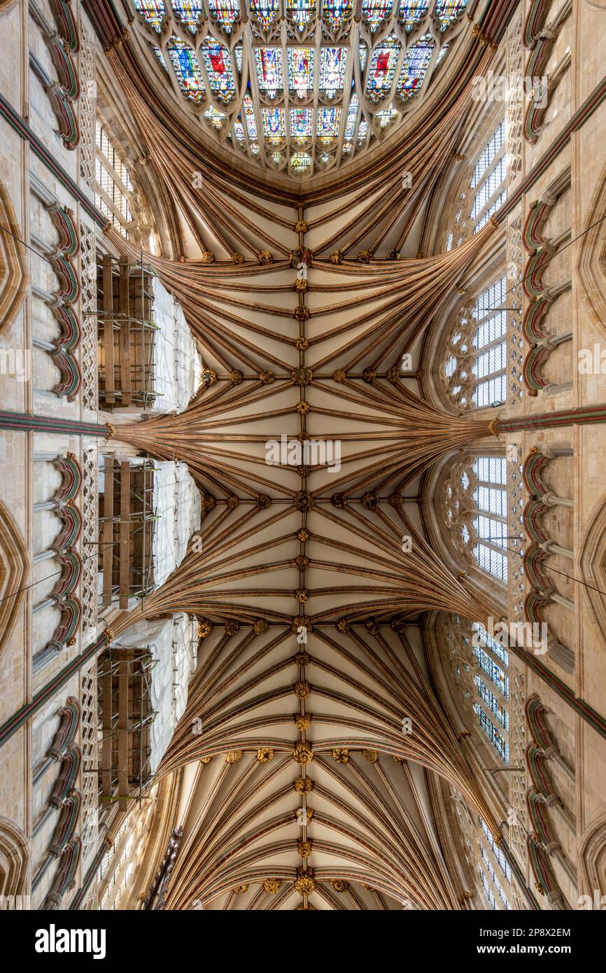 Exeter.Devon.United Kingdom.February 19th 2020.View of the vaulted ...