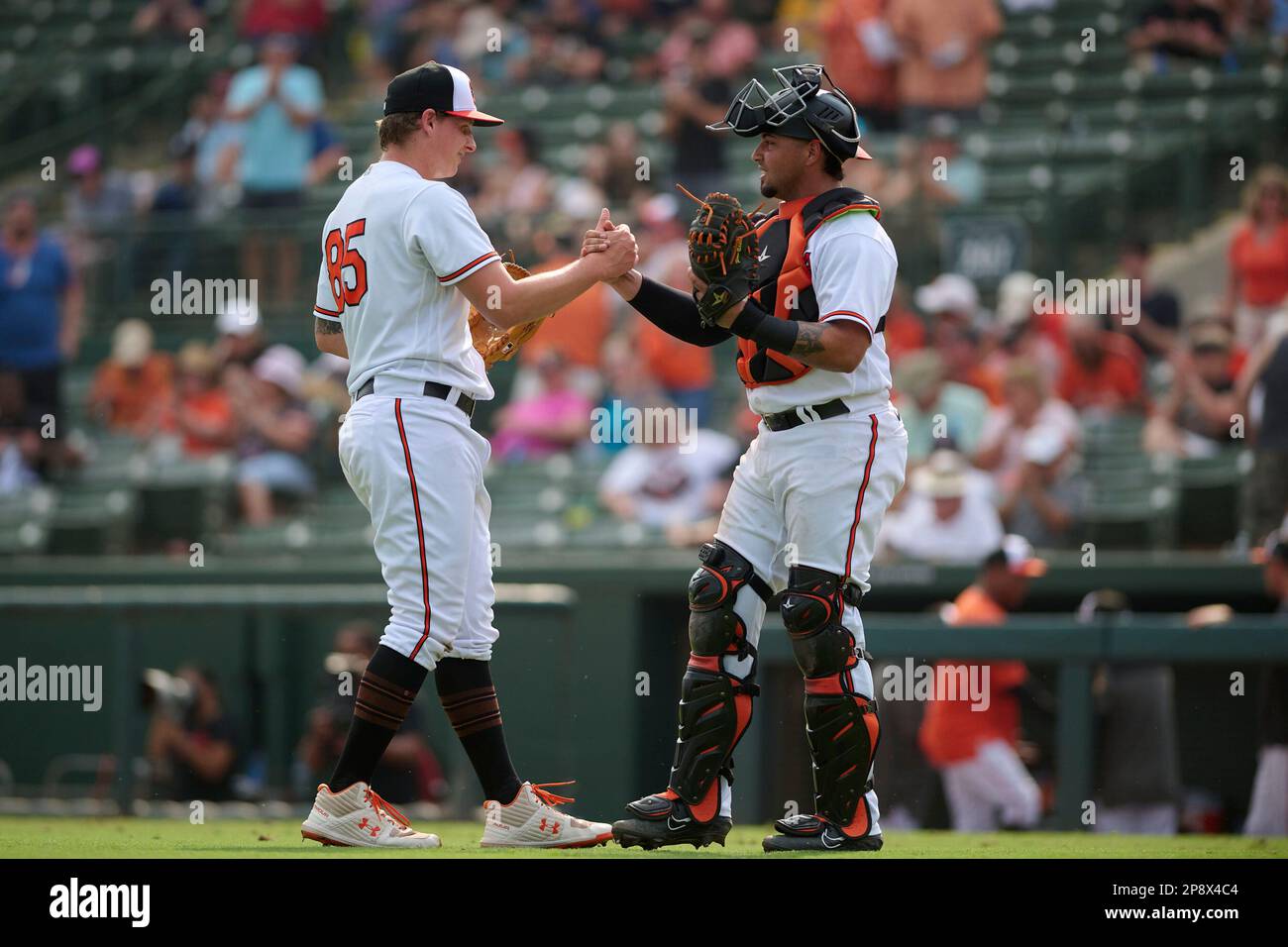 Baltimore Orioles pitcher Nolan Hoffman (85) celebrates with catcher ...