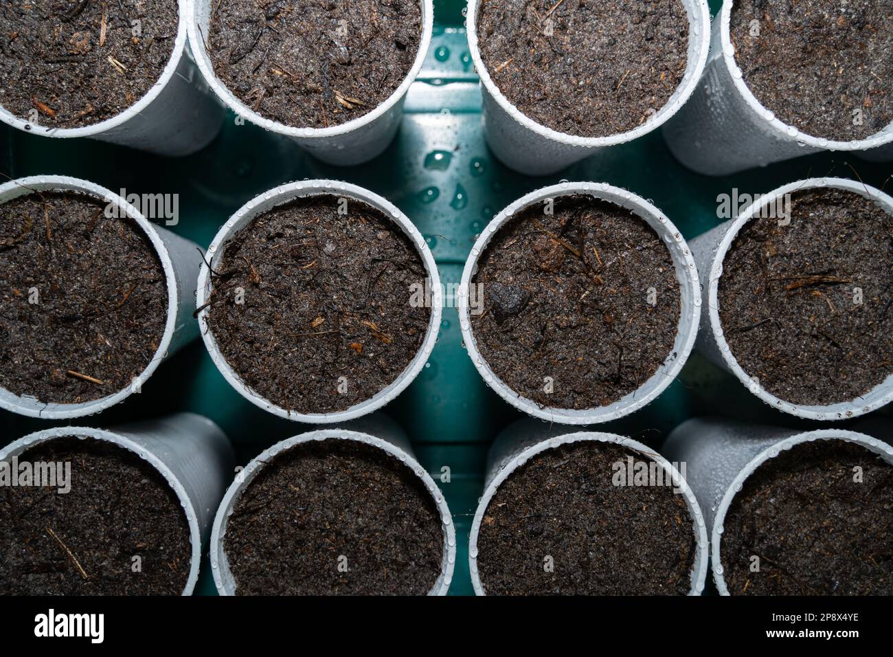 Wet plastic cups soil hi-res stock photography and images - Alamy