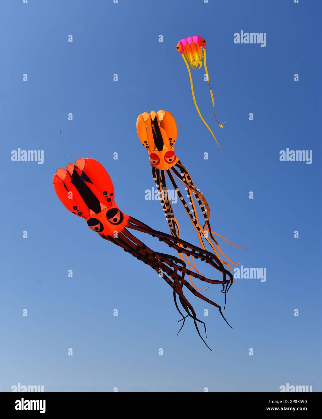 Blue kite park traditional hi-res stock photography and images - Alamy