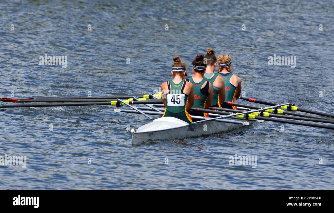 Sculling team rowing on water hi-res stock photography and images - Alamy
