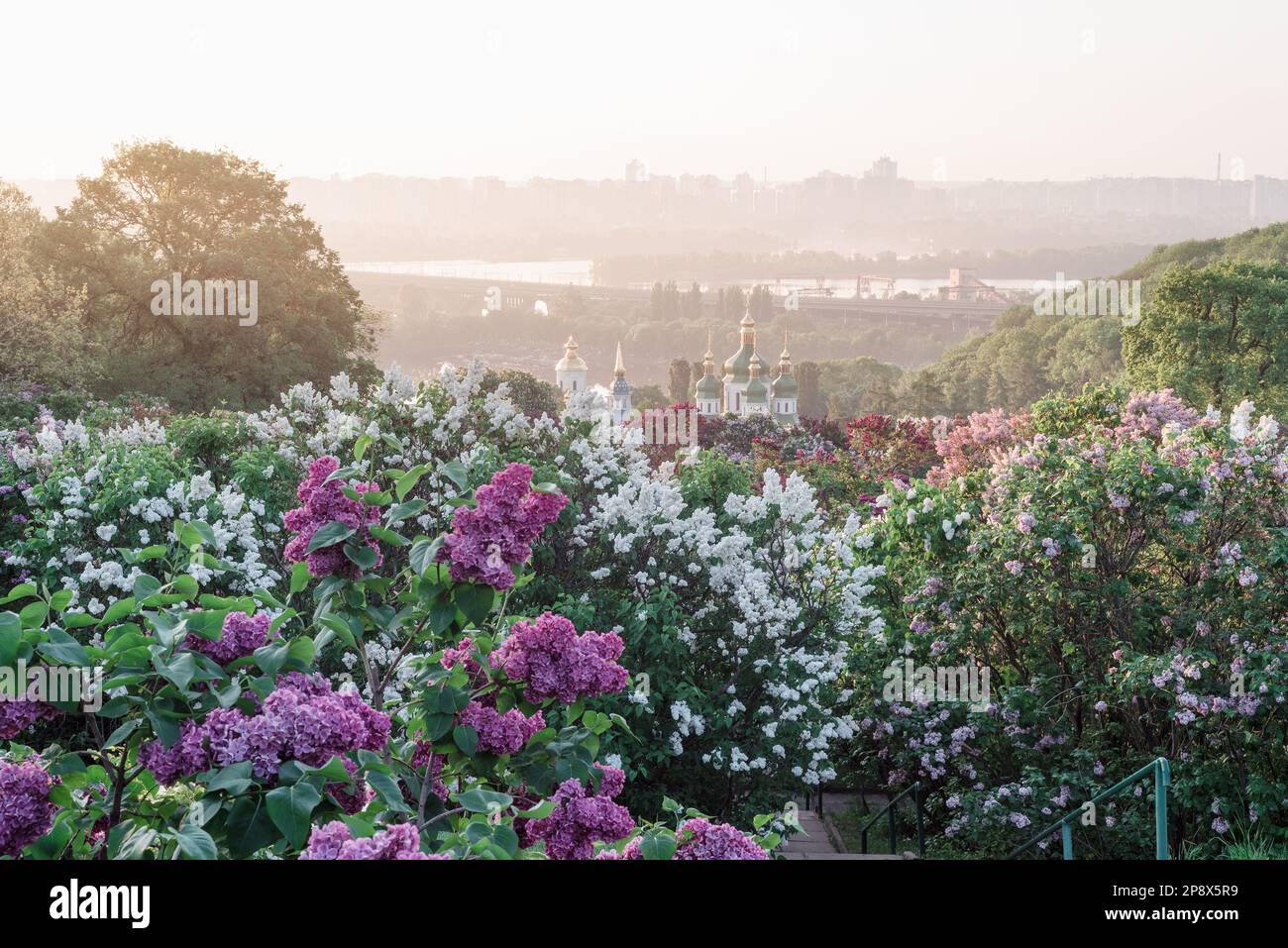 Spring landscape. City of Kiev - capital of Ukraine. Botanical Garden ...