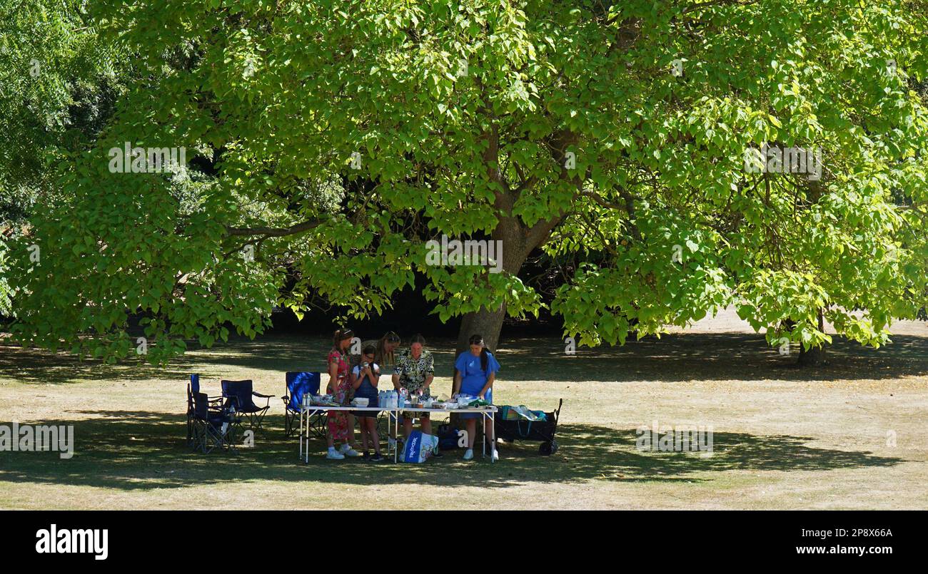 SILSOE, BEDFORDSHIRE, ENGLAND - AUGUST 10, 2022: People setting up Picnic with tables under a ...