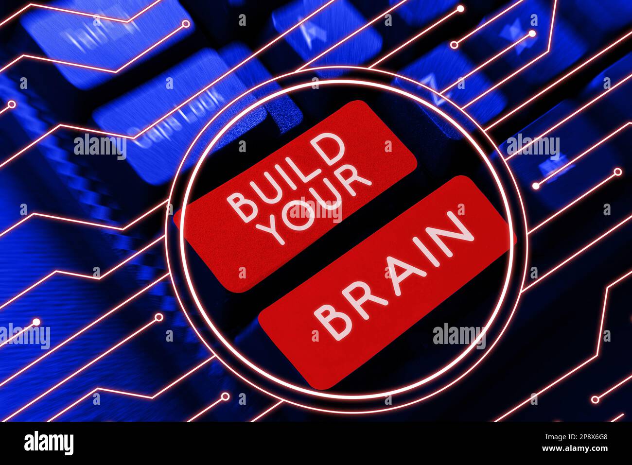 Text caption presenting Build Your Brain. Internet Concept mental ...
