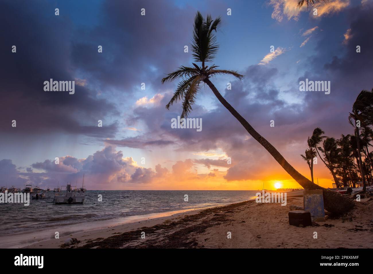 Sunset on the beach. Paradise beach. Tropical paradise, white sand ...