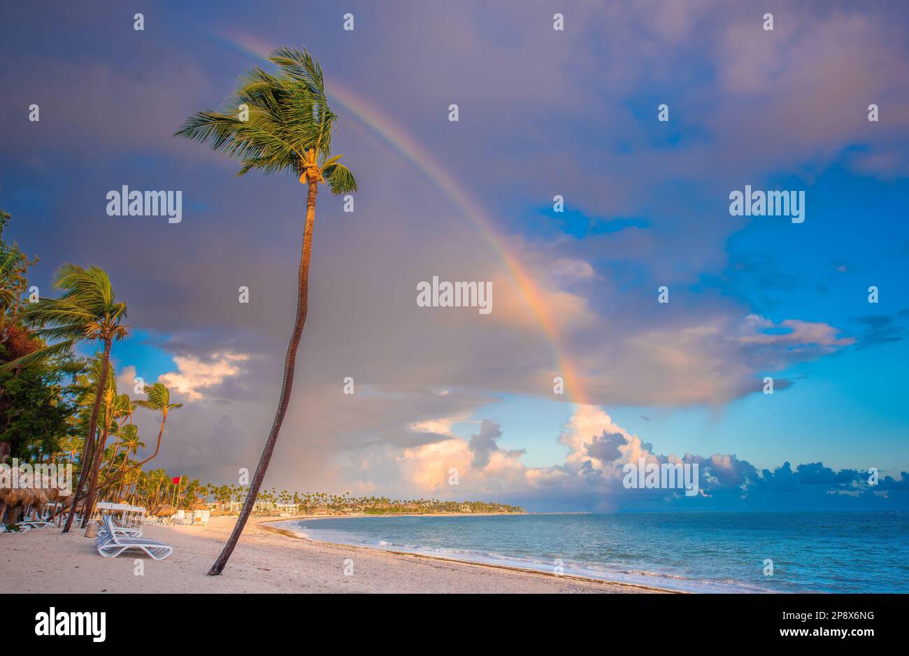 Sunset on the beach. Paradise beach. Tropical paradise, white sand ...