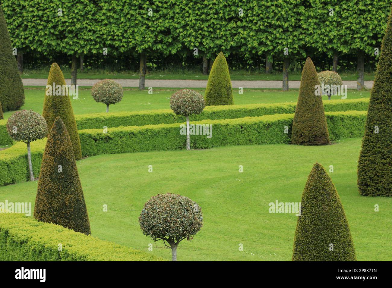 Accurately cut hedges and bushed in the Royal Hospital Kilmainham ...