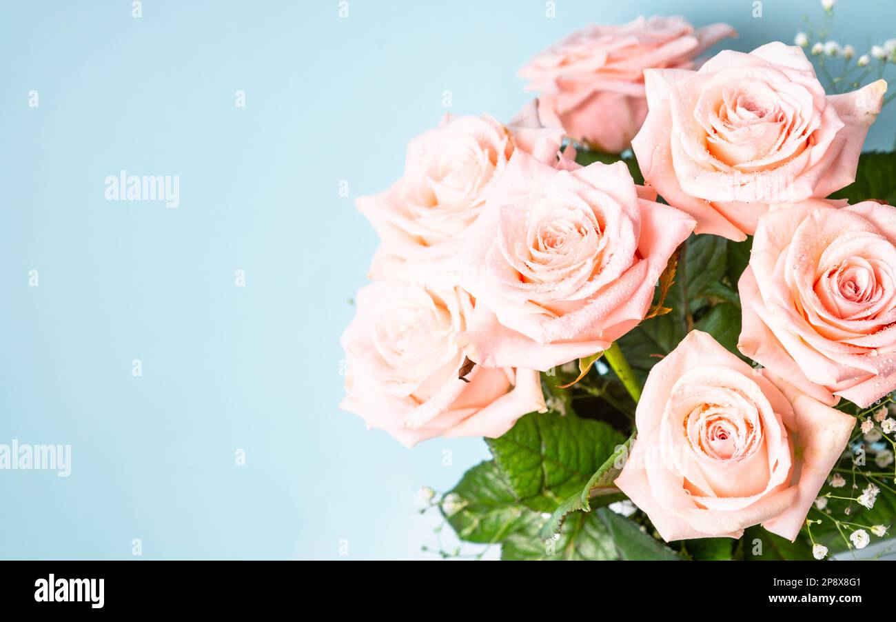 Pink rose flowers bouquet at blue background Stock Photo - Alamy
