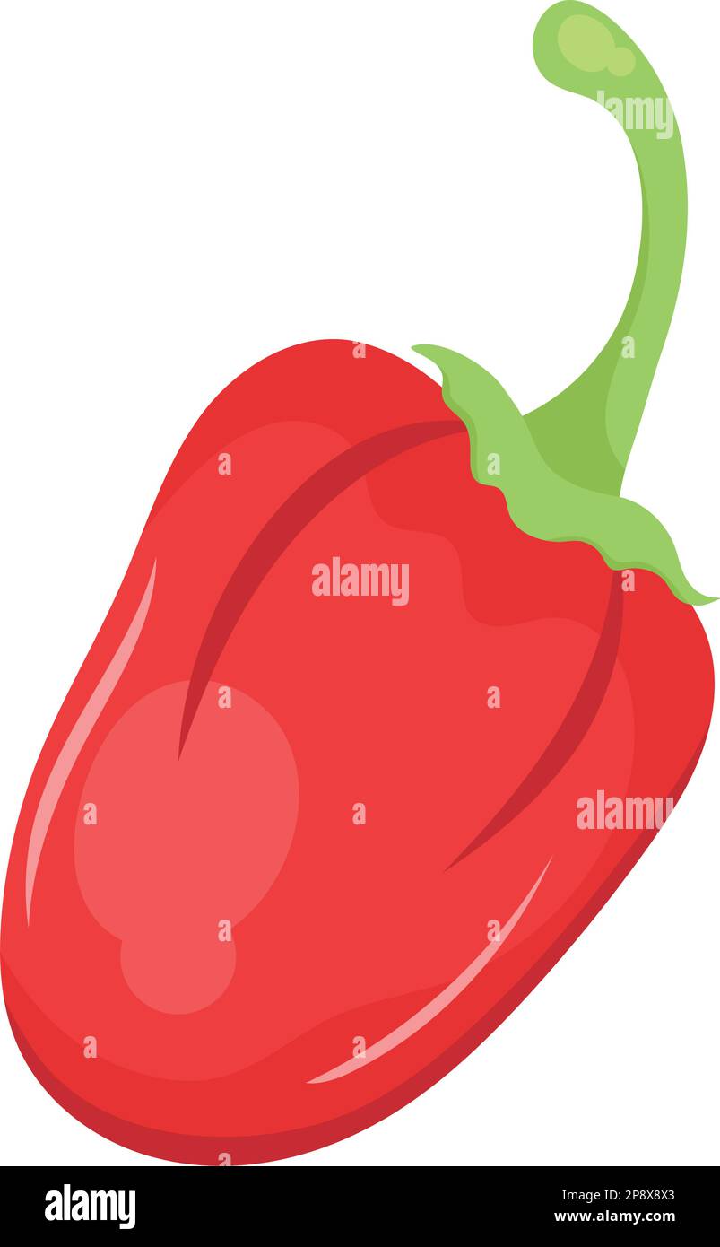 Poblano pepper Stock Vector Images - Alamy