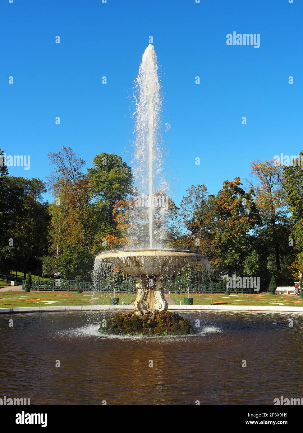 Italian fountain, Peterhof Palace, Peterhof, Petrodvorets, St ...