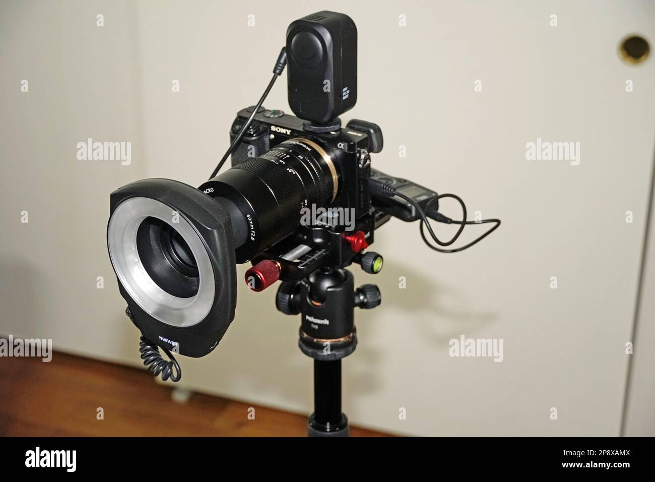 Macro Photography set-up, Digital Camera and Lens Stock Photo - Alamy Macro Photography set-up, Digital Camera and Lens Stock Photo - Alamy