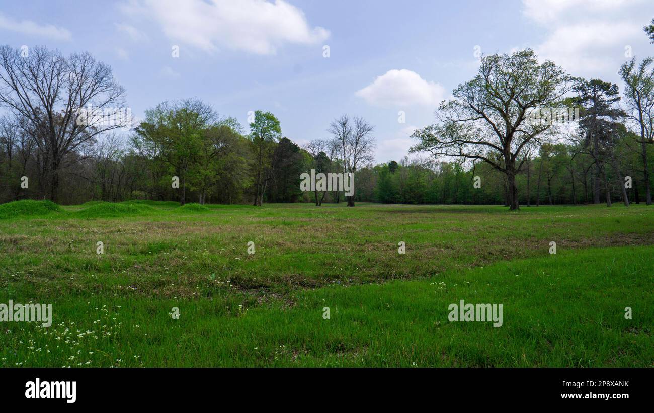 Open Field with Trees in Background Stock Photo - Alamy