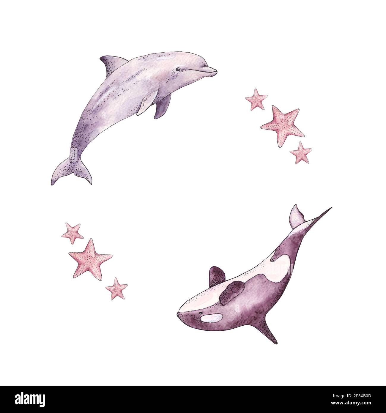 A set of watercolor elements with orca, dolphin and starfish isolated ...