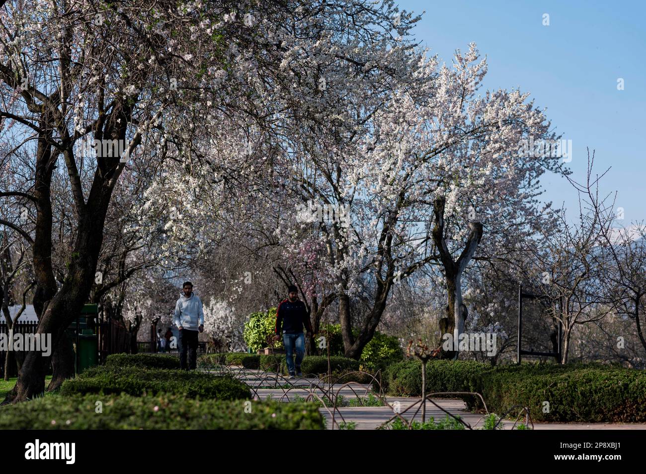 March 9, 2023, Srinagar, Jammu and Kashmir, India: Visitors walk past ...