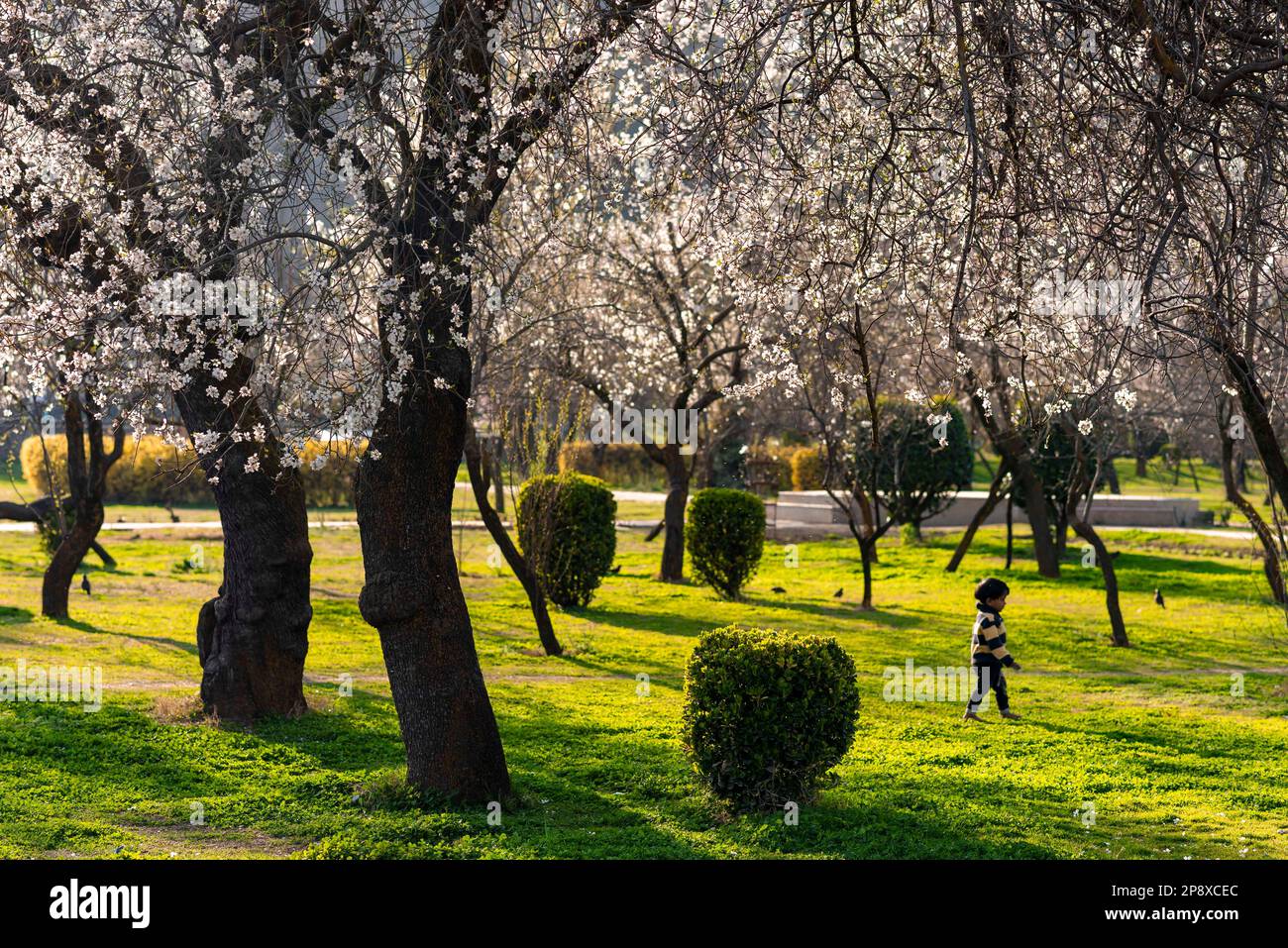 March 9, 2023, Srinagar, Jammu and Kashmir, India: A kid walks past ...