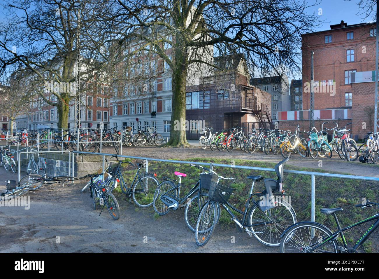 Transport cars boards in Copenhagen in Denmark Stock Photo - Alamy