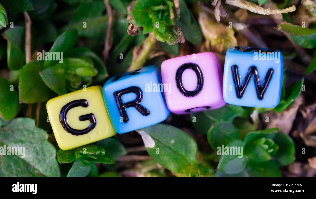 Grow slogan in colorful block letter beads on green grass. Spring ...