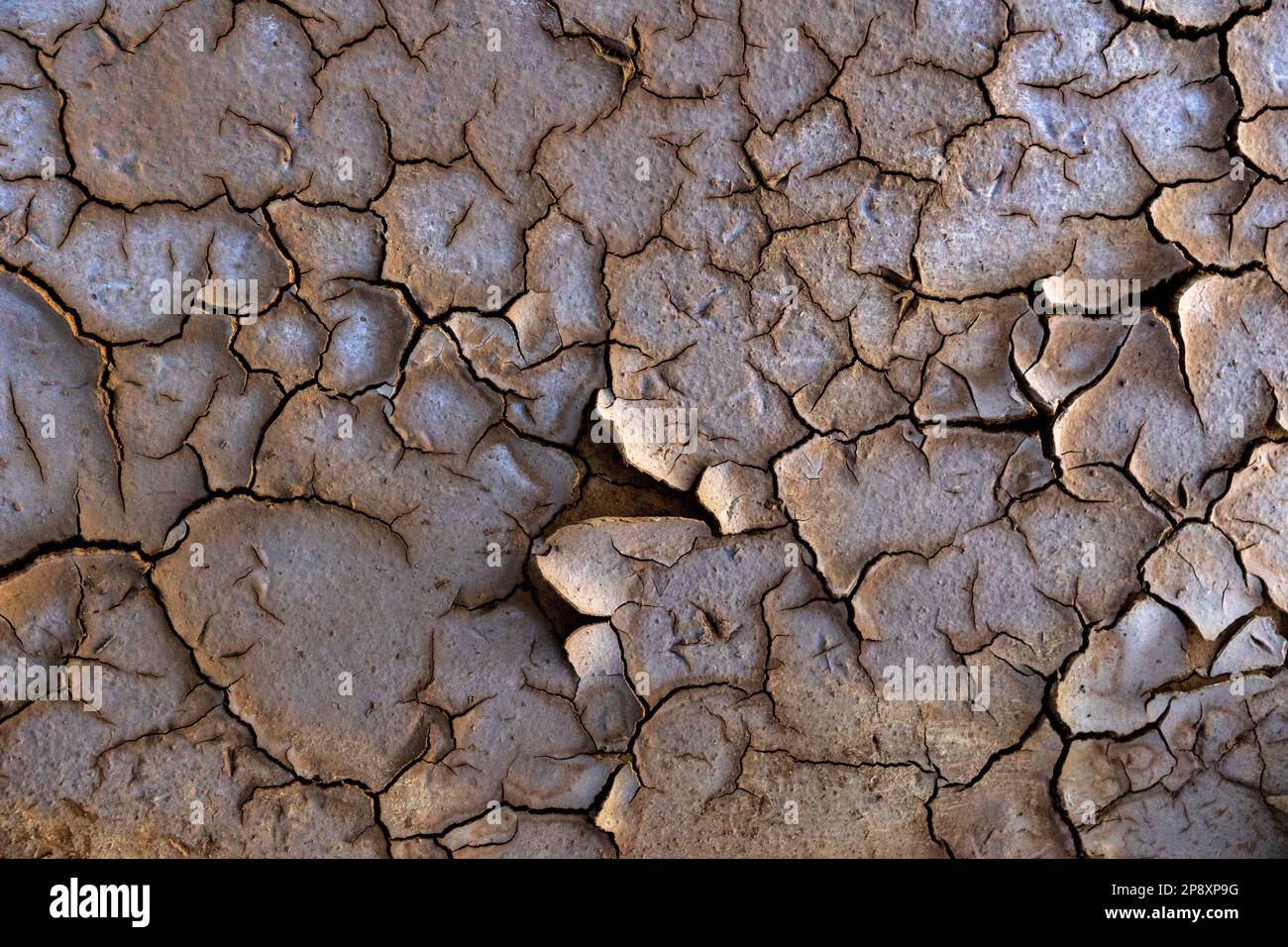 Cracking mud backdrop hi-res stock photography and images - Alamy