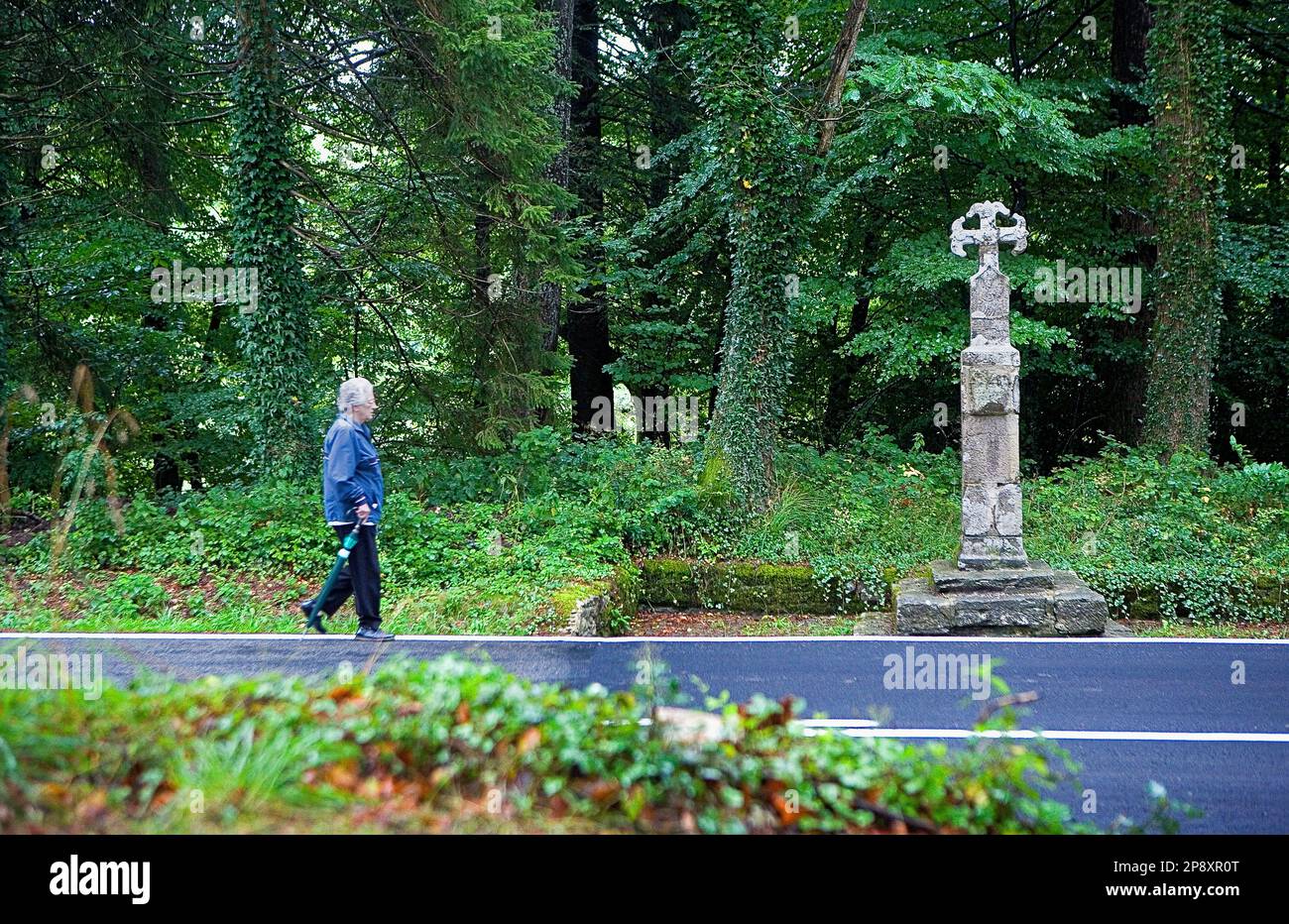 stone cross. Roncesvalles-Orreaga. Navarra.Spain. Camino de Santiago ...