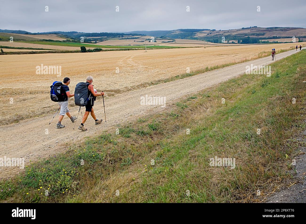 Pilgrims near Castildelgado. Burgos province.Spain. Camino de Santiago ...