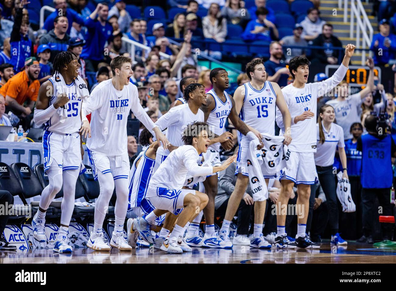 Duke blue devils bench hi-res stock photography and images - Alamy