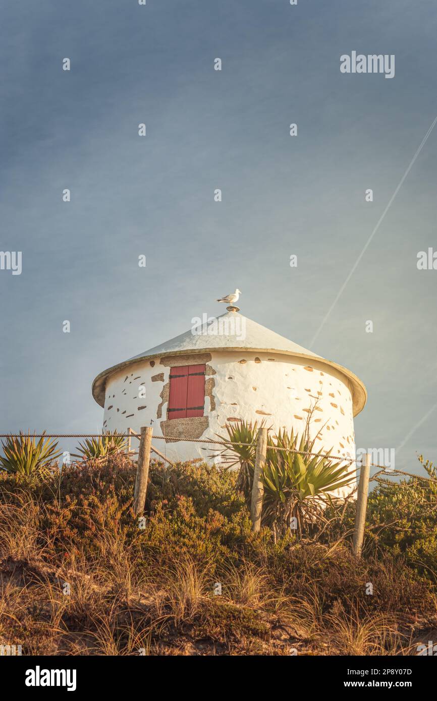 Seaside Serenity: A Rustic Windmill on Apulia Beach Stock Photo - Alamy