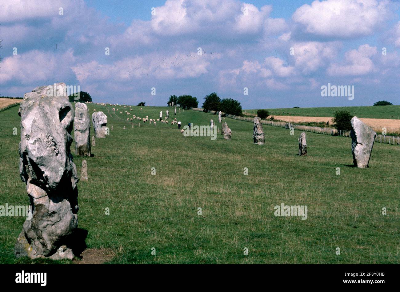Ryan henge hi-res stock photography and images - Alamy