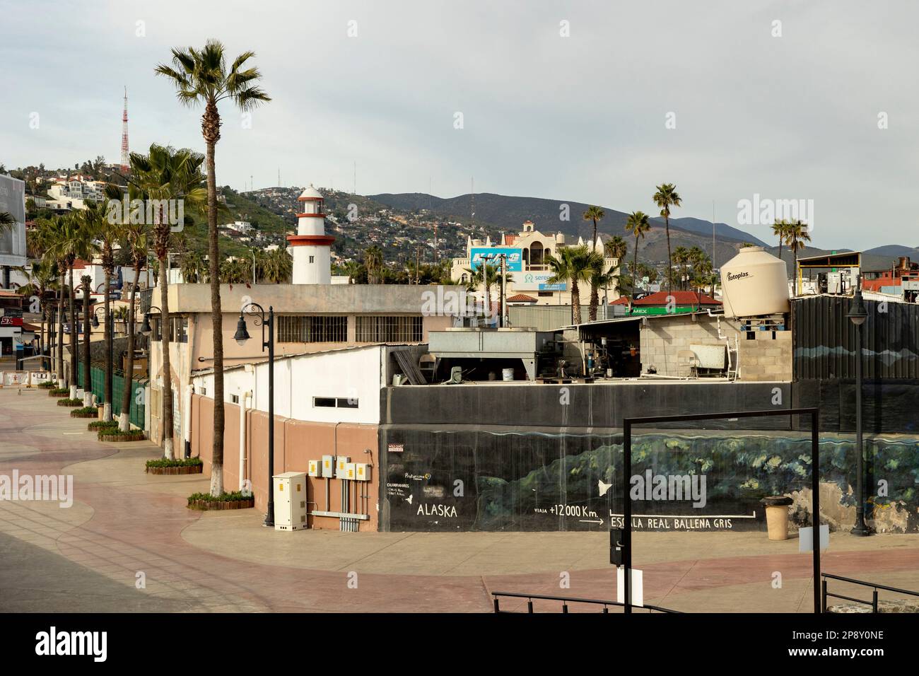 Ensenada, Baja California, Mexico - Looking north from marina toward ...