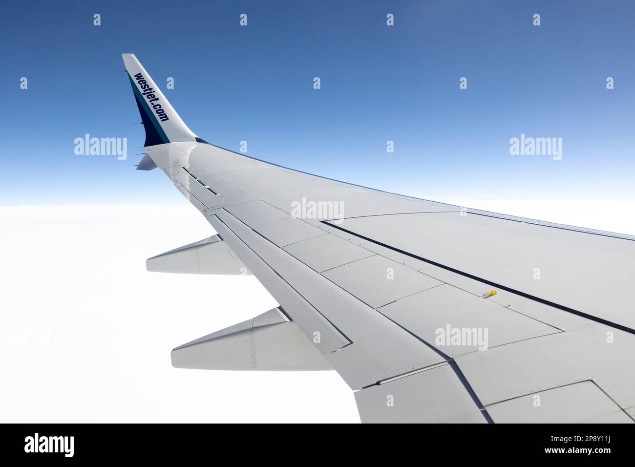 Looking at an airborne WestJet passenger jet wing against blue sky and ...