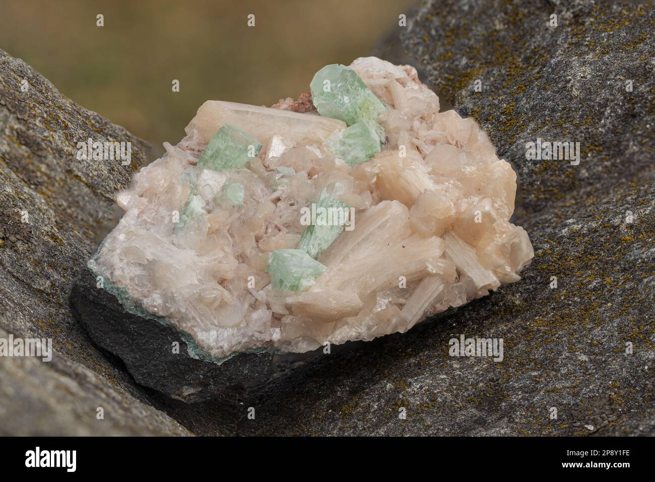 Apophyllite images hi-res stock photography and images - Alamy