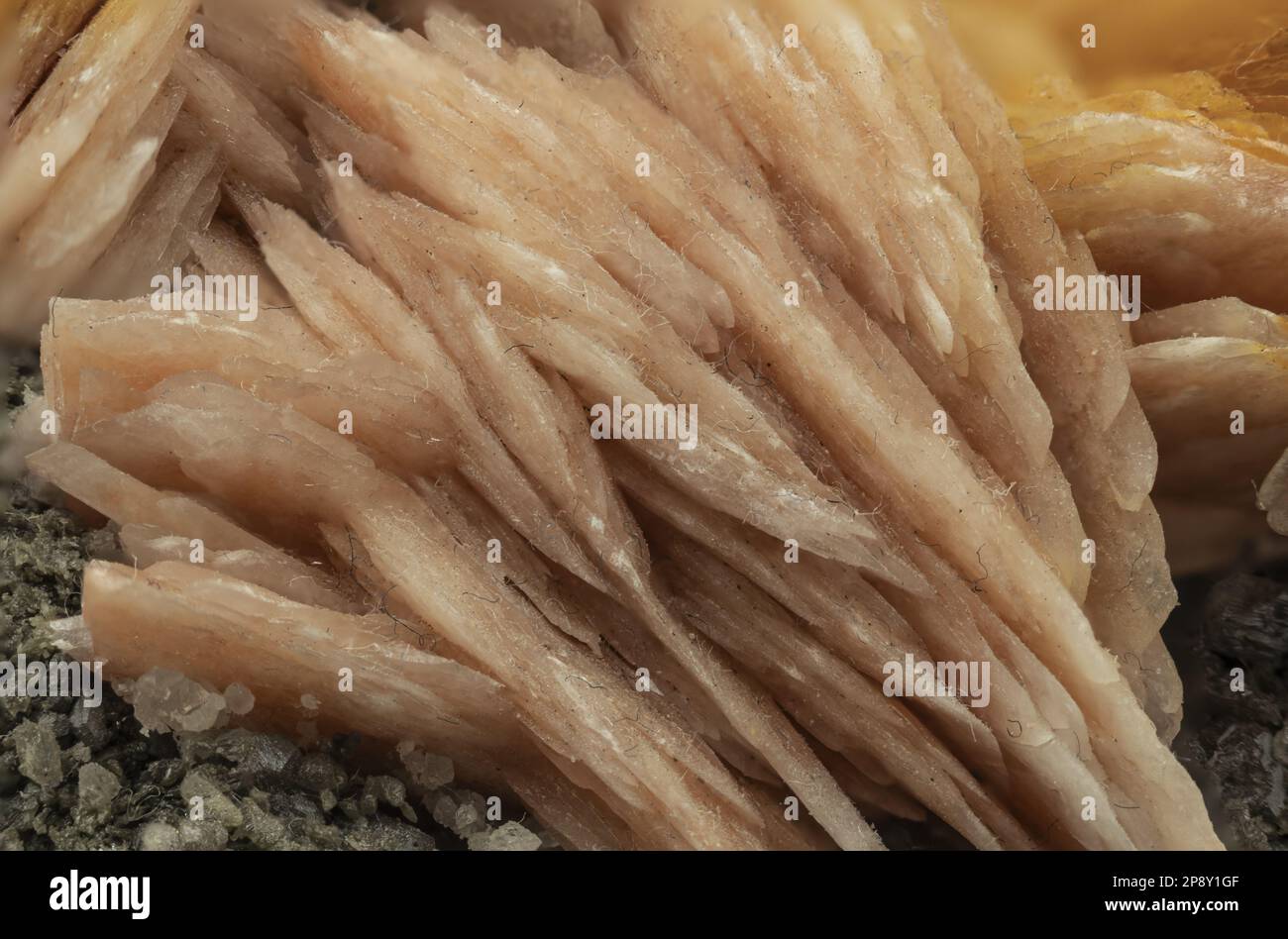 Mineral samples images hi-res stock photography and images - Alamy