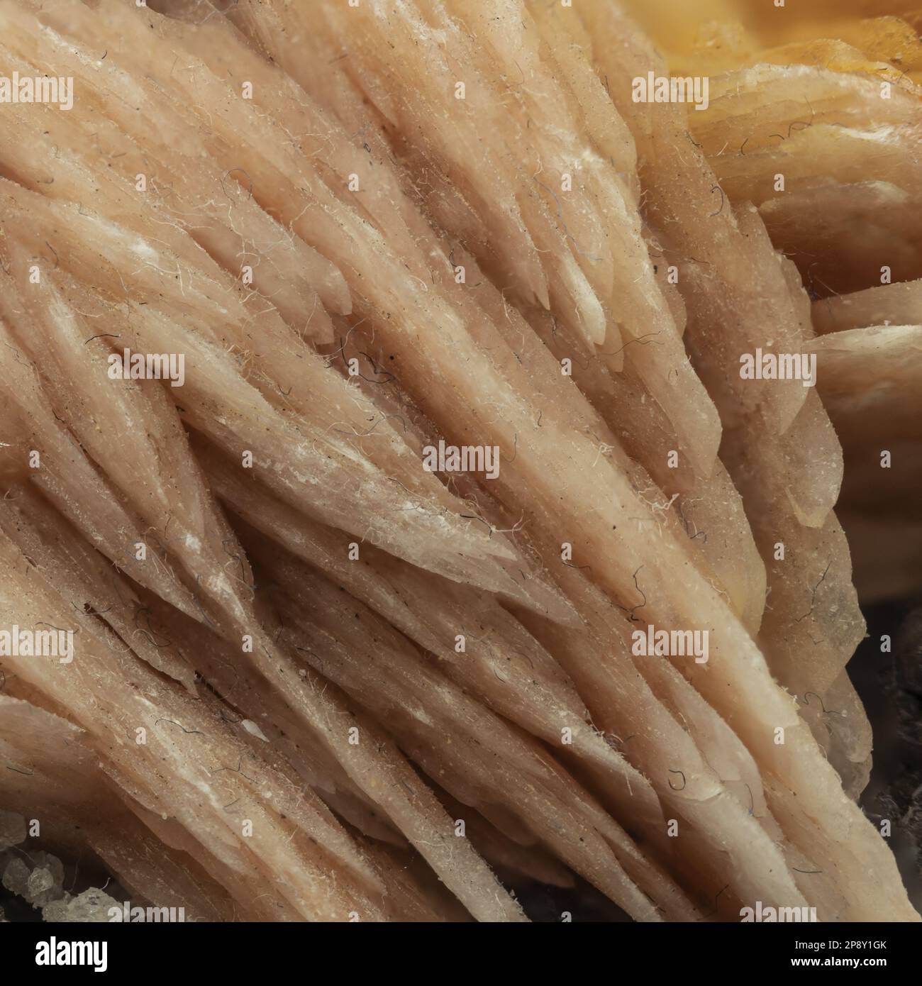 Barite mineral sample, macro photo , rock image Stock Photo - Alamy