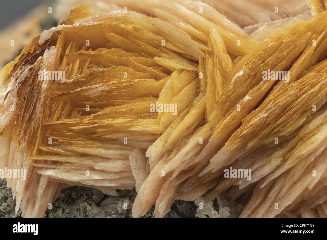 Crystallized sample of Baryte, sulfate mineral Stock Photo - Alamy
