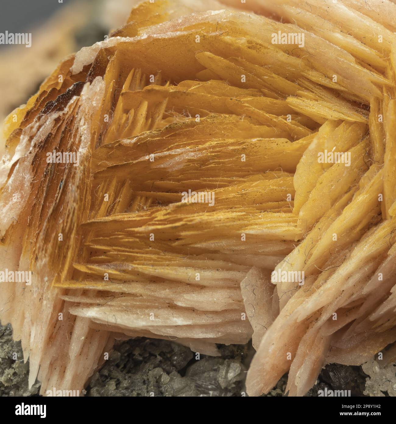 Mineral samples images hi-res stock photography and images - Alamy