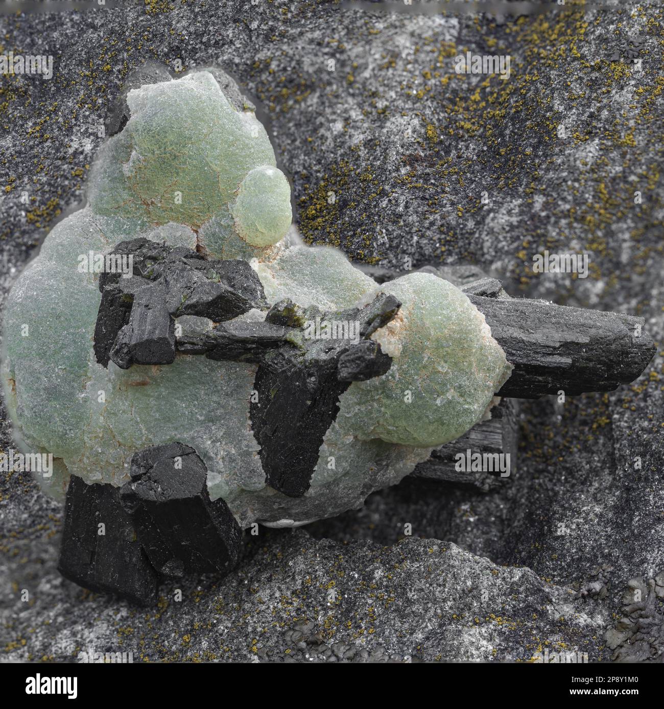 Prehnite specimen picture hi-res stock photography and images - Alamy