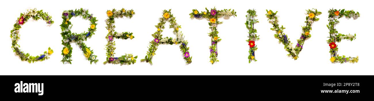 Colorful Blooming Flower Letters Building Word Creative Stock Photo - Alamy